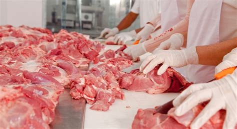 МАНАЙ УЛСЫН 26 ААН УЗБЕКИСТАНД МАХ ЭКСПОРТОЛНО Tuuchee