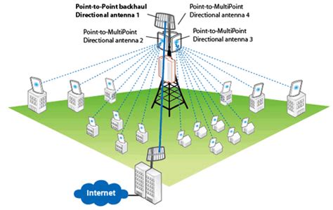 Point To Multipoint Topology