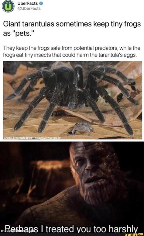 Fucked Up Memes