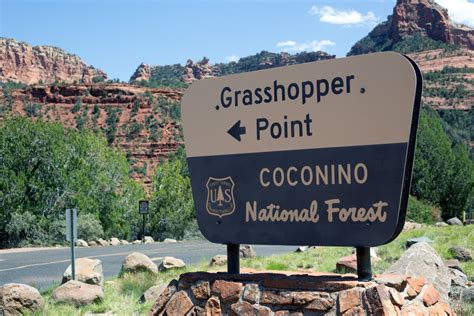Coconino National Forest Grasshopper Point Swimming And Picnic Area
