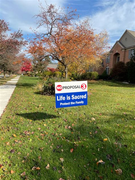 Vicky Wilson Jacob On Linkedin Noproposal3 Michiganwakeup