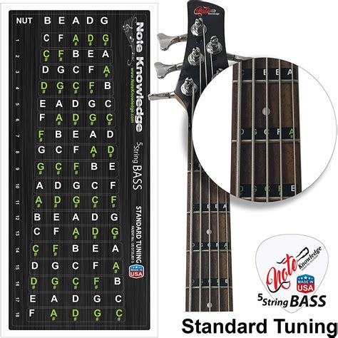 5 String Bass Notes Chart With Fretboard Photos Bassox 46 Off