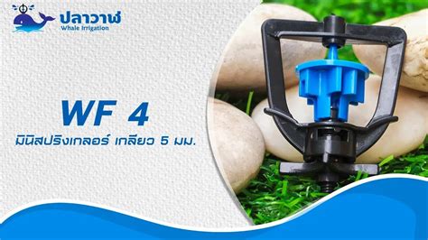 มินิสปริงเกลอร์ Wf4 By ระบบน้ำปลาวาฬ Youtube