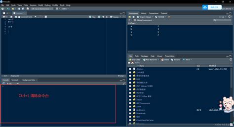 R Rstudio R R Studio Csdn