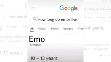 How Long Do Short People Live For Meme Generator Piñata Farms The