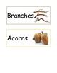 Tree Study Sorting Cards By Teaching Tar Heel TPT