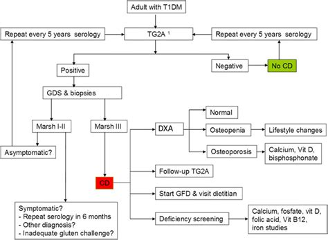 Proposed Algorithm For The Screening And Follow Up Of Coeliac Disease