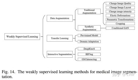 综述 基于深度学习的医学图像分割技术：全面调研 知乎