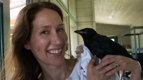 News Where Do Crows Go In The Winter Hamilton College