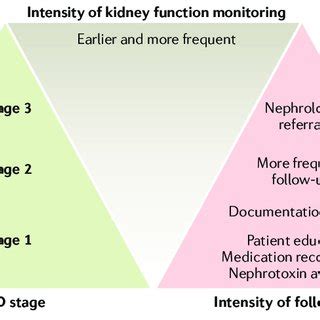 Figure Interplay Between Acute Kidney Injury AKI Acute Kidney Disease AKD And Chronic
