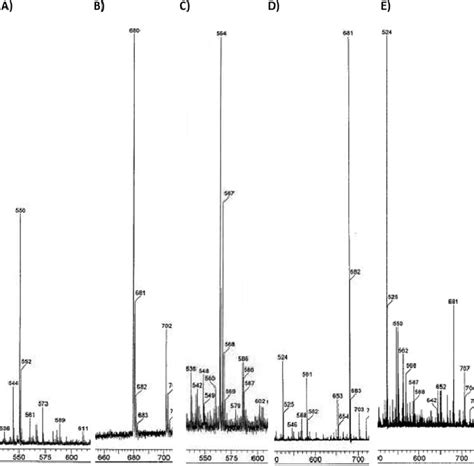 Maldi Tof Mass Spectrum Of The Different Peptides Produced By Meps And