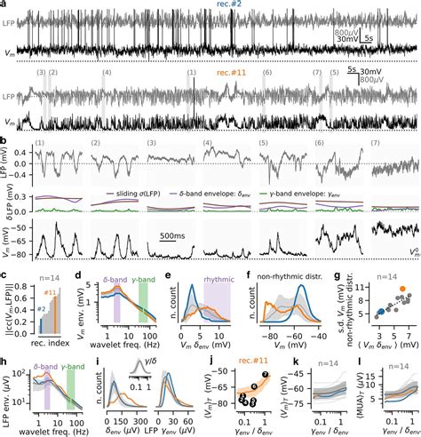 Network States Classification Based On Local Field Potential Recordings In The Awake Mouse