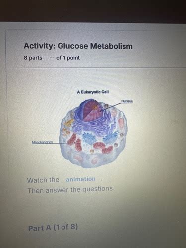 Bio Chapter 9 Homework Flashcards Quizlet