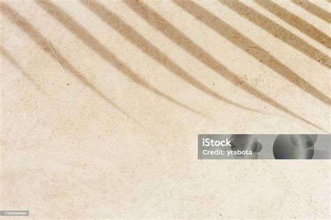 팜 열대 잎 그림자 질감 콘크리트 배경 중립 색상 여름의 미니멀 스타일 햇살 베이지 색 흑백 여름 배경 식물 태양 그늘 자연 하드 라이트 0명에 대한 스톡 사진 및 기타