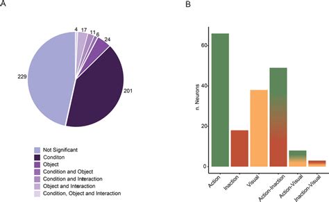 A Pie Plot Showing The Distribution Of Neurons According To The Download Scientific Diagram