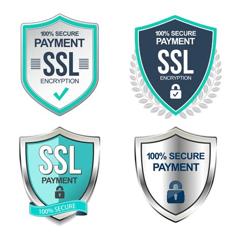 Collection Of SSL Protection Secure Icon Vector Illustration Isolated On White Background