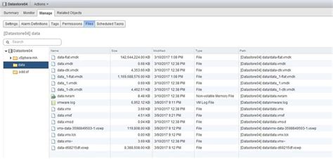 Deleting Emc Vnxe 3150 Vmware 5 5 Datastore Data Storage Backup And Recovery Spiceworks Community