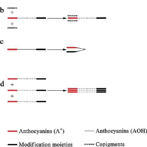 Basic Structures Of Non Flavonoids A And Flavonoids B Download