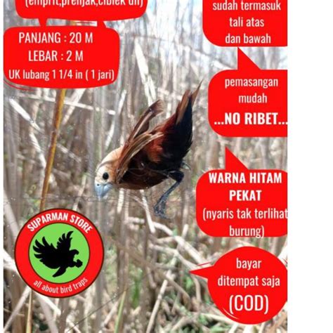 Jual Model Baru Jaring Burung Emprit Haji Jaring Burung Kecil Jaring