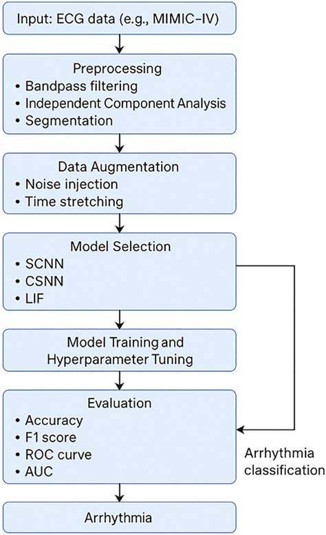 Enhanced Arrhythmia Detection Using Spiking Neural Networks An In Depth Analysis Of Ecg Data