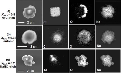 Secondary Electron Images Seis And Elemental X Ray Maps For Cl From Download Scientific