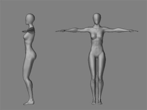 Making The Perfect Base Model Series WIP ZBrushCentral