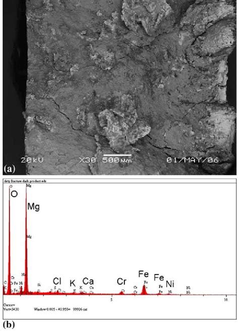 A Sem Micrograph Of Fresh Fracture Surface Prior To Cleaning
