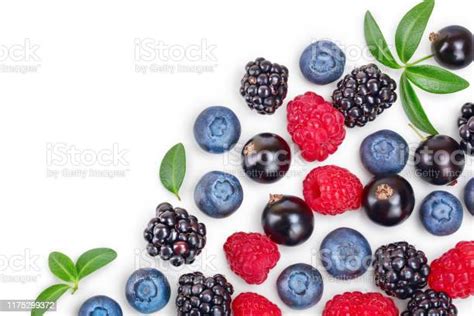 블랙 베리 블루 베리 라즈베리 블랙 건포도 텍스트에 대 한 복사 공간 흰색 배경에 격리 맨 위 보기 플랫 레이 패턴 0명에 대한