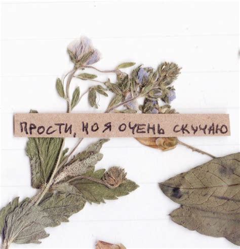 Пин от пользователя Дарья на доске хм в 2024 г Надписи Случайные цитаты Цветные цитаты