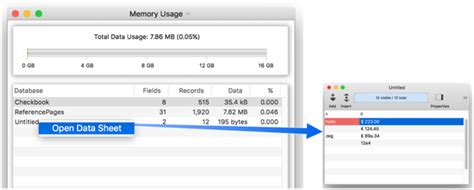 Memory Usage