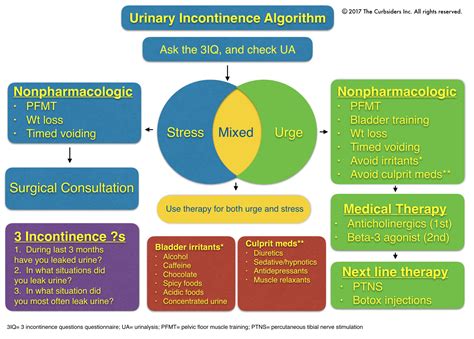 53 Urinary Incontinence Tips And Strategies To Stay Dry The