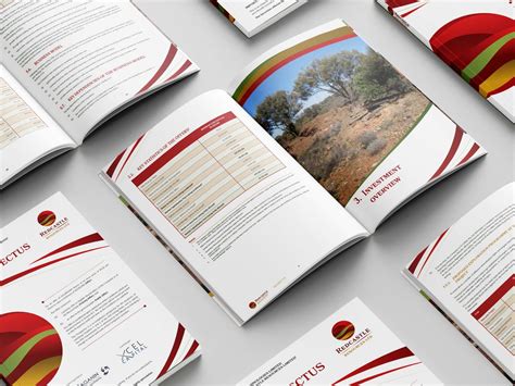 Redcastle Resources Corporate Identity Alexander Rojas Moreno Armdiseno Graphic Design In