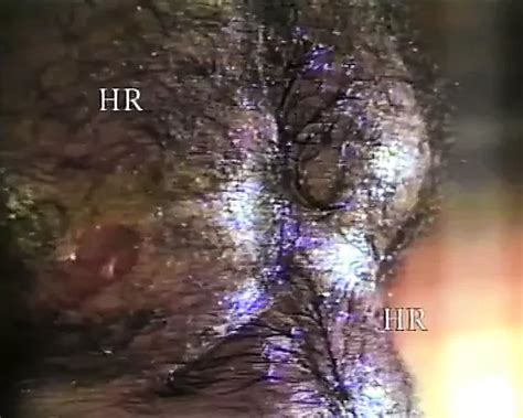 Two Hot Sex Scenes For Eager Pussies Amateur Porn Xhamster