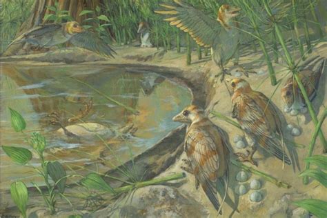 Cretaceous Fossil Suggests Ancient Bird Died From Egg Binding