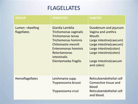 Classification Of Flagellates And Giardia Lamblia Pdf