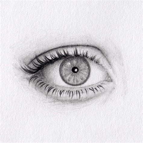 Round Eyes Drawing Easy At Dorothy Ledford Blog