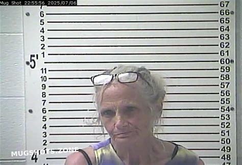 Howard Robin Kay 07 06 2025 Hardin County Mugshots Zone
