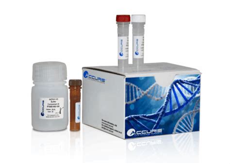 Broad Range Dsdna Quantification Kit 100 Assays Biomedical Solutions