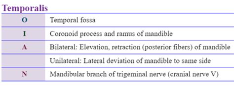 Tmj Flashcards Quizlet