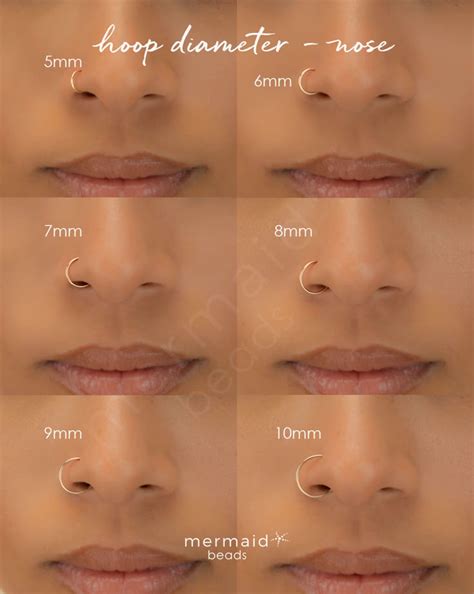 Nose Piercing Types Chart