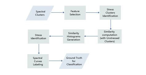 4 Generating Ground Truth Download Scientific Diagram