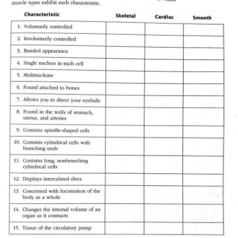 The Three Types Of Muscle Tissue Exhibit Certain Similaritie Quizlet