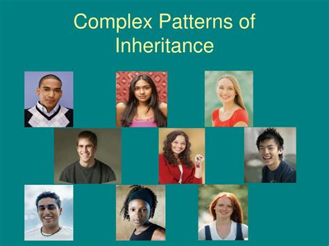 Ppt Complex Patterns Of Inheritance Powerpoint Presentation Free