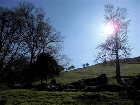 Jam Project The Origin Of Bron Yr Aur