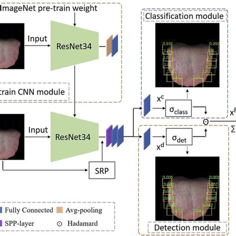 Framework Of The Proposed Method It Includes A Pretrained Cnn