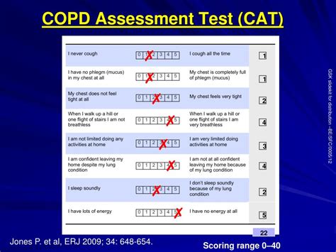 What Is Cat Score For Copd At Laura Granados Blog