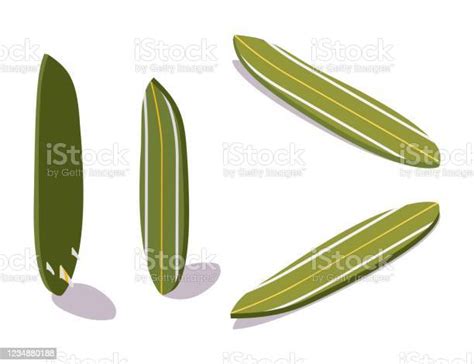 그림자와 서핑 지느러미와 다양한 단축 보기에 녹색 서핑 보드 아이소메트릭 벡터 익스트림 스포츠 컬렉션 3차원 형태에 대한 스톡