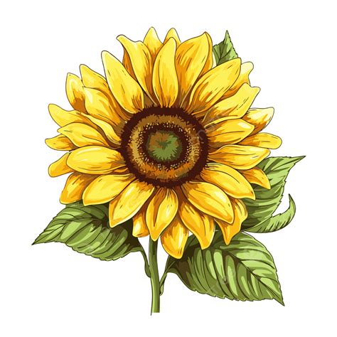 Sunflower Printable