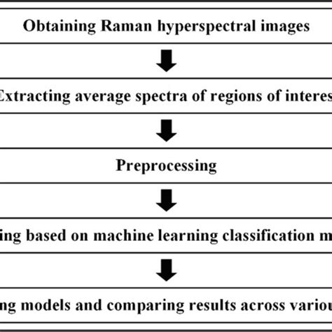 flow chart of raman hyperspectral data processing steps download