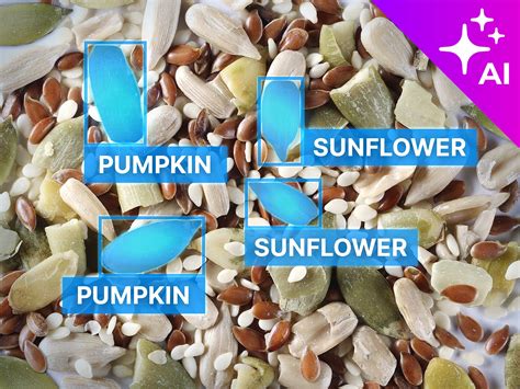 Pylon Vtool Instance Segmentation Basler Ag